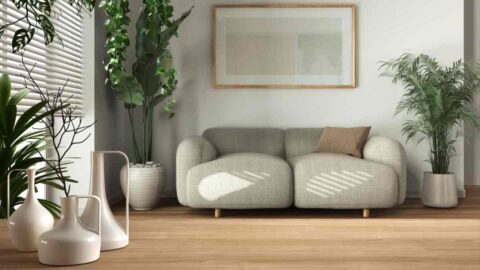 2025 Interior Design Trends | Signature Shutters & Decor